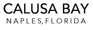 Calusa Bay · Naples, Florida – Homes for Sale In Olde Naples, Pelican ...
